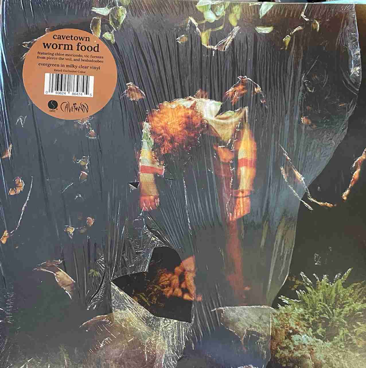 Cavetown – worm food Vinyl Record - Vinyl Record Vault India